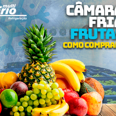 Câmara Fria para Frutas: 4 Principais Benefícios | Multifrio Refrigeração